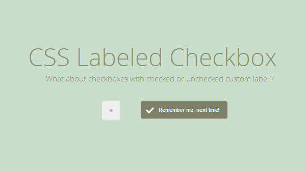 CSS Checkbox Creative VIP